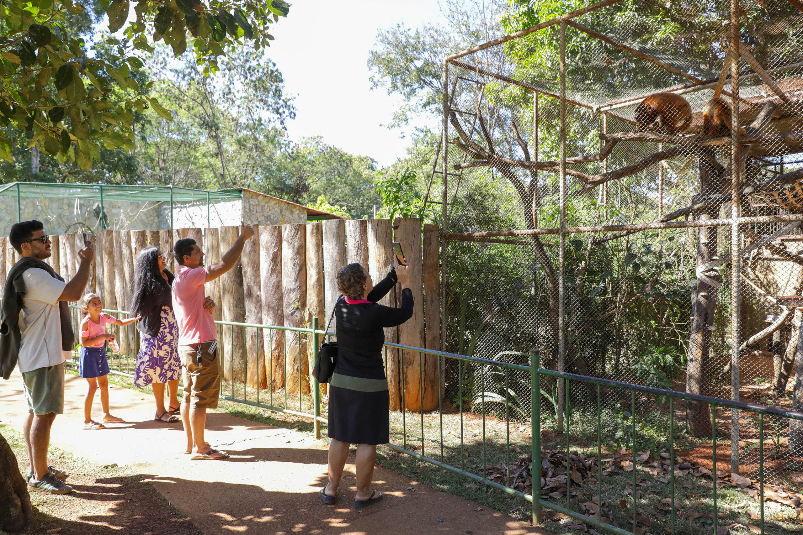 Zoológico de Brasília reabre com funcionamento diário durante o mês de ...